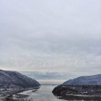 CV – Cassandra Nelson